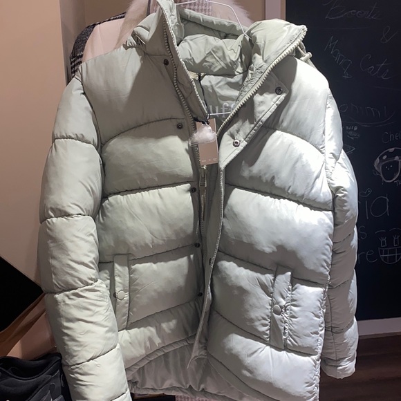 Bluenotes | Jackets & Coats | Sage Green Winter Puff Jacket | Poshmark